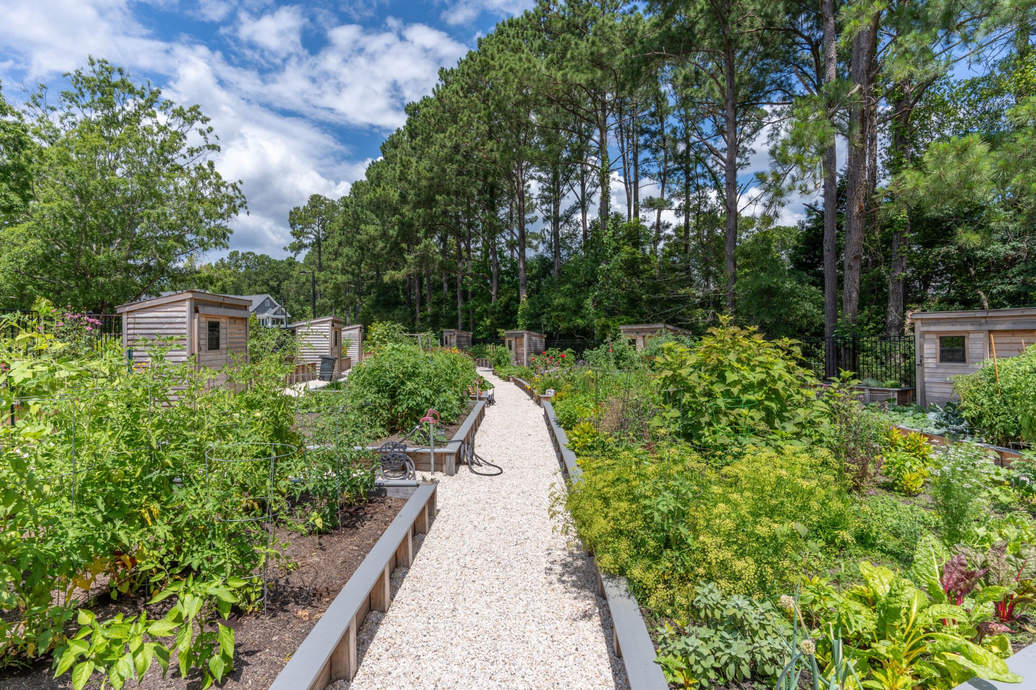 See Photos, Videos and our Virtual Tour | Porters Neck Village