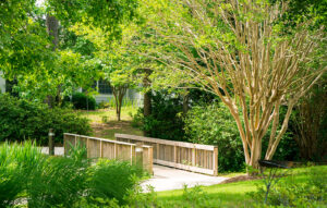 See Photos, Videos and our Virtual Tour | Porters Neck Village