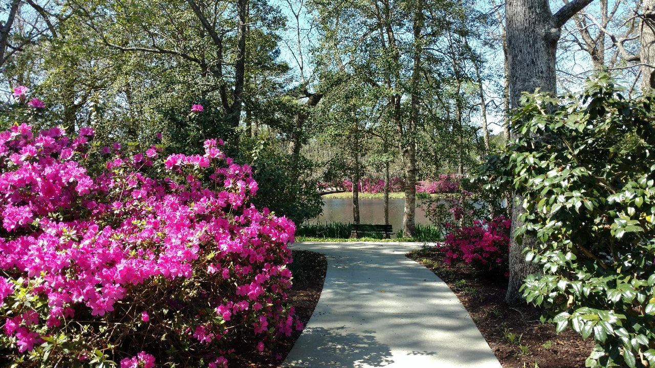 See Photos, Videos and our Virtual Tour | Porters Neck Village