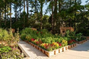 See Photos, Videos and our Virtual Tour | Porters Neck Village